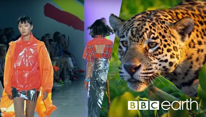 BBC Earth debuts ‘circular’ fashion collection - Knitting Views
