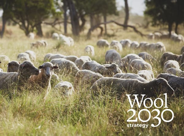 The Australian Wool Innovation unveils Wool 2030 strategy - Knitting Views