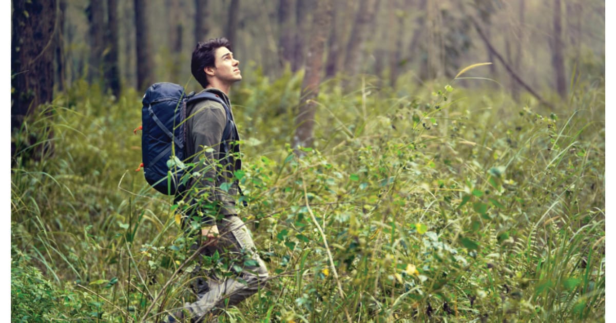 TENCEL™ brand launches Tree Climate fabric collection for sustainable ...