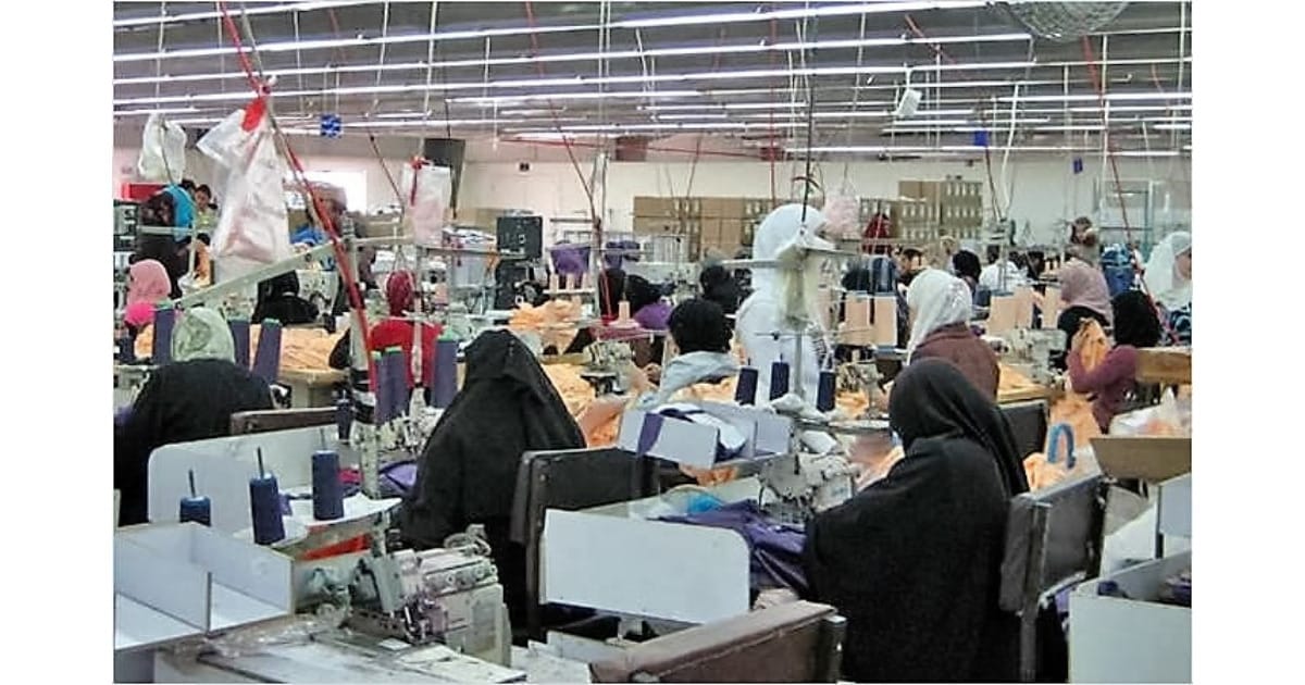 Brazil and Egypt to increase trade in textiles and other industries ...