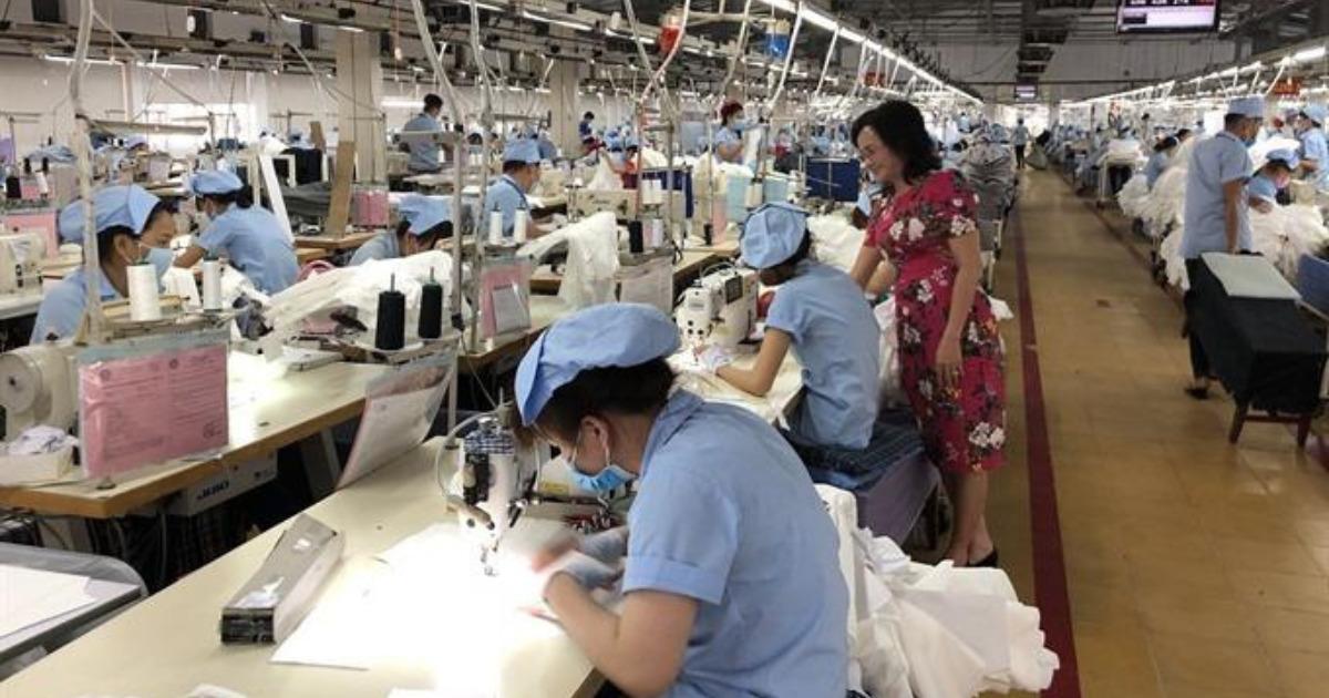 Vietnam opens garment factory in An Giang province with Dutch ...