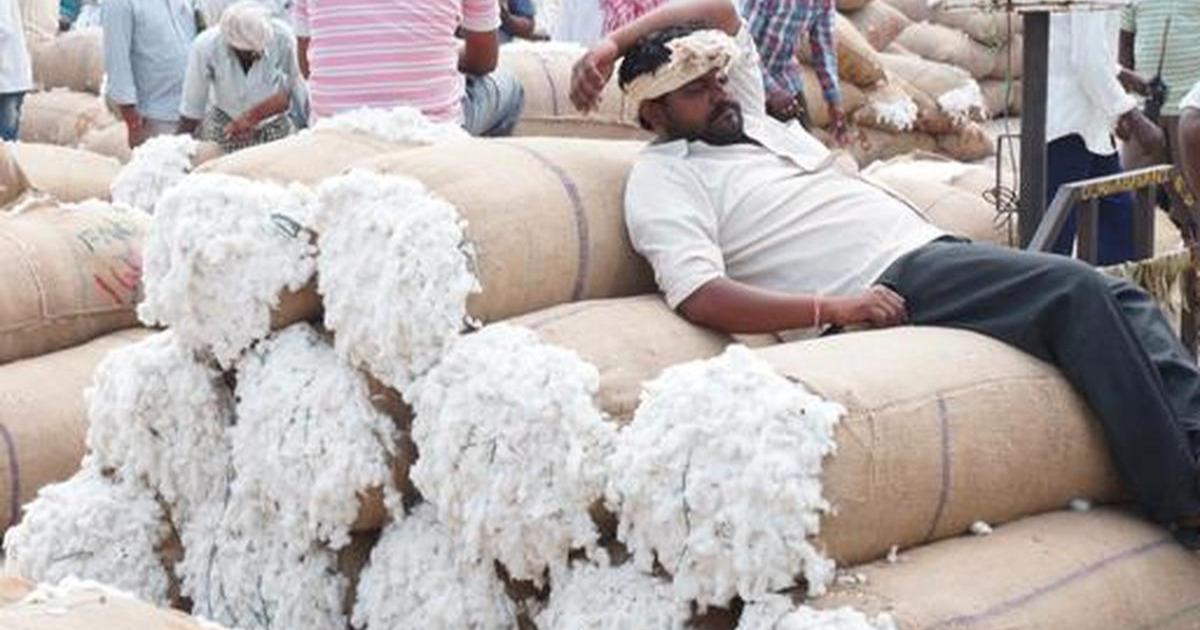 Compulsory certification for Indian cotton; Minister approves QCO ...