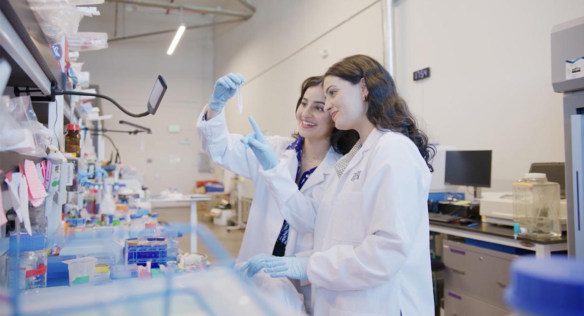 Zero-waste carbon capture pilot launched by Walmart and Rubi ...