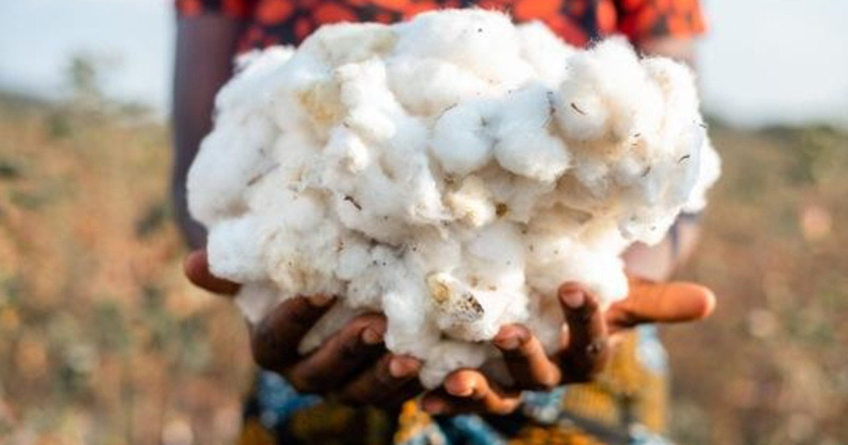 AbTF announces annual Cotton Conference in Mumbai: A Sustainable Future ...