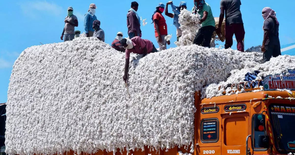 The reduction of import duties on ELS cotton is welcomed by the Indian ...